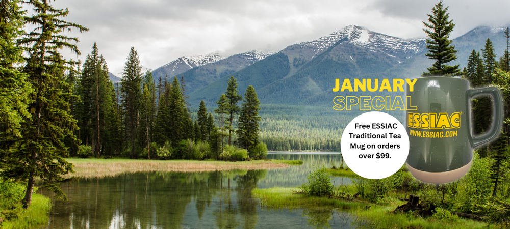 Essiac Tea Original Capsules Liquid Extract – Essiac Store