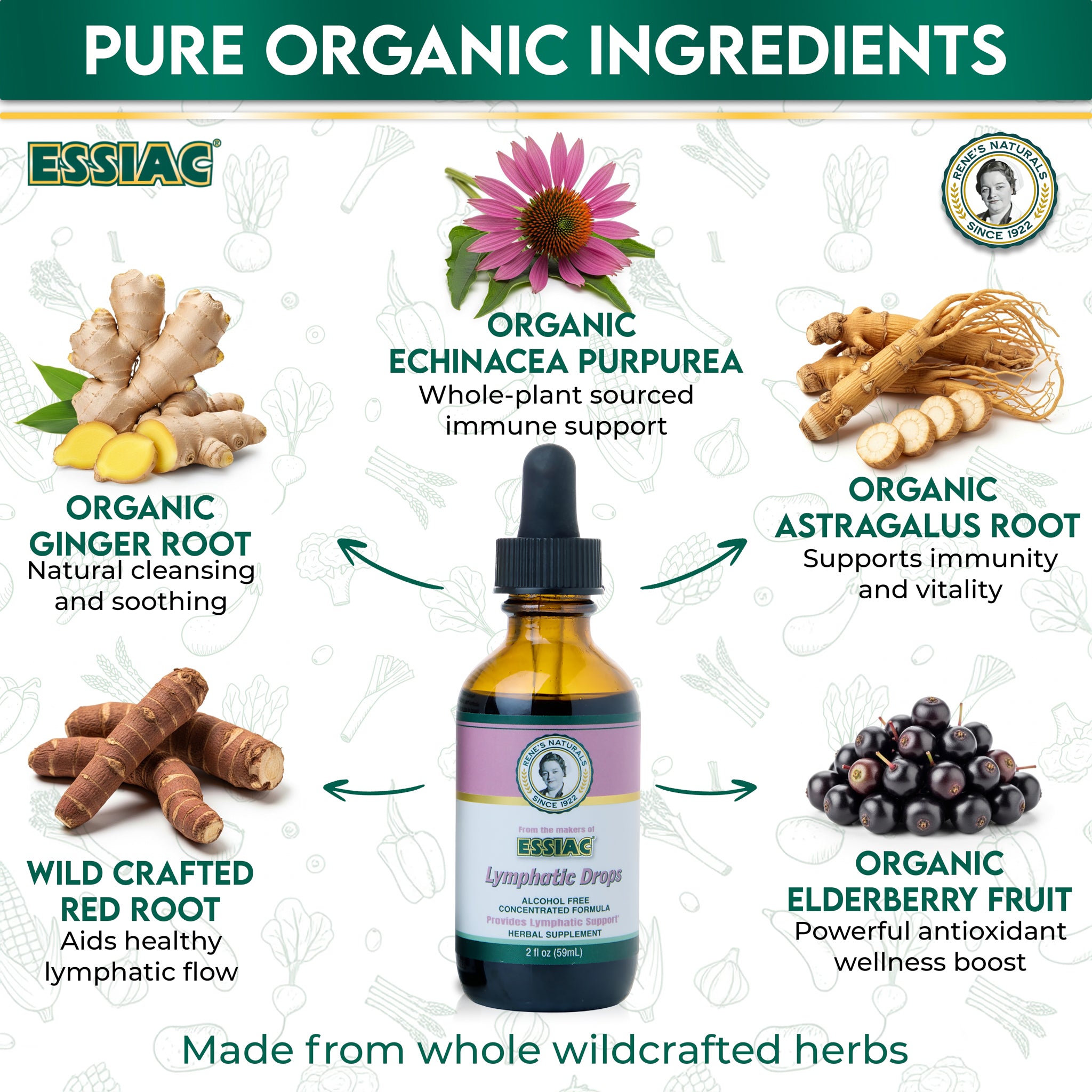 Essiac Lymphatic Drops – Essiac Store
